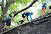 Alles BIO bei den Hartfüßlern! - Meldungen - Trailrunning